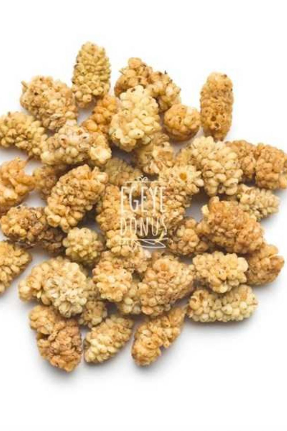 Dut Kurusu - davmarket.com