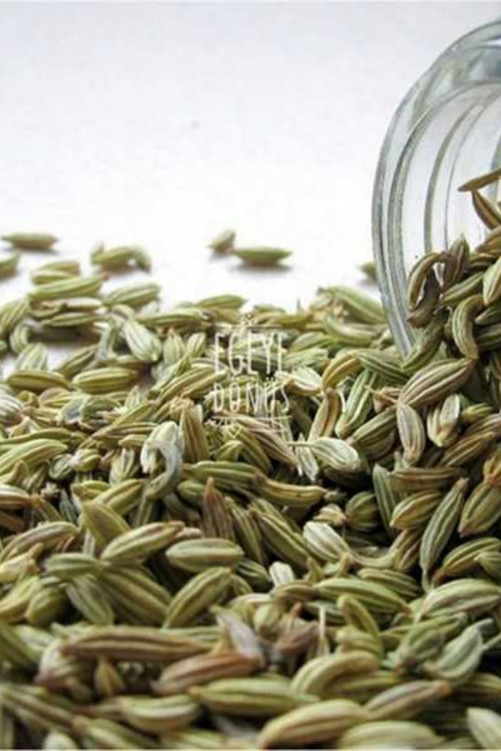 Rezene - davmarket.com