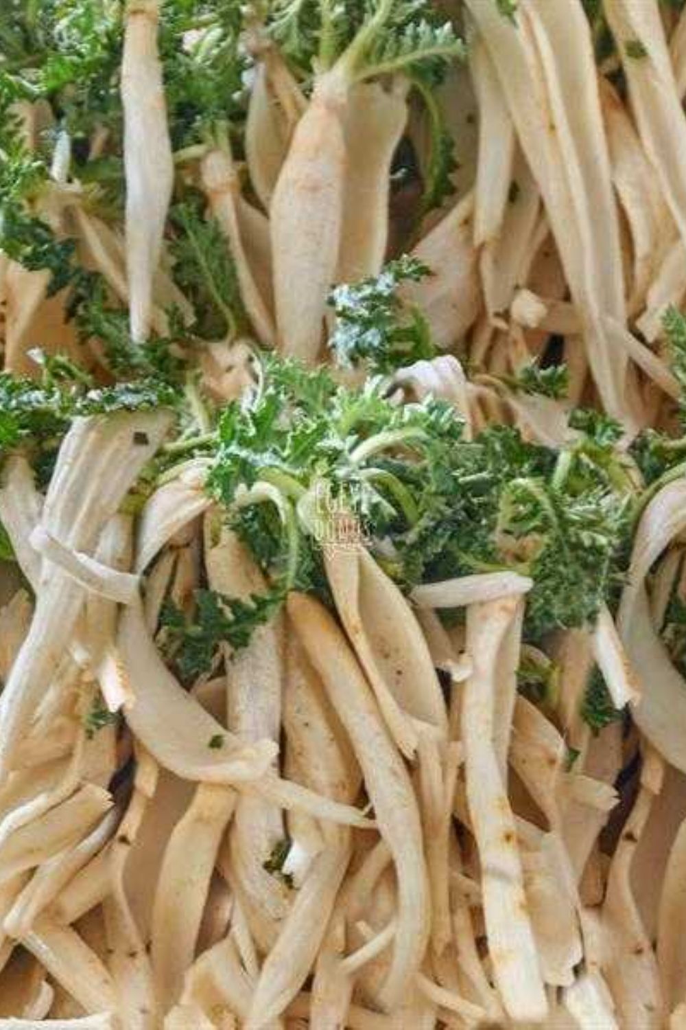 Şevketi Bostan - davmarket.com